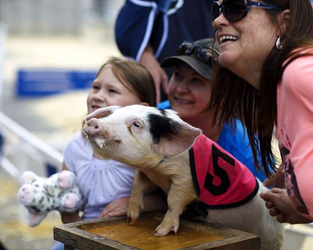 Photo essay: Pig races hit the track in Frisco | SummitDaily.com